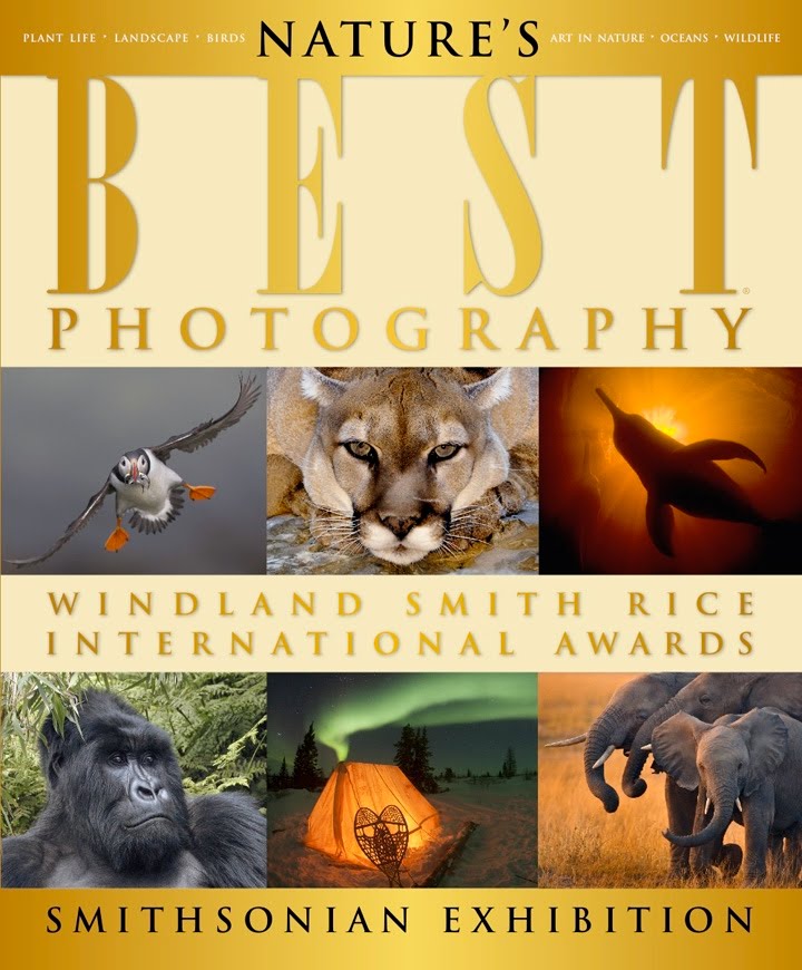 Michael S. Nolan's Wildlife Images: Nature's Best Photo Contest